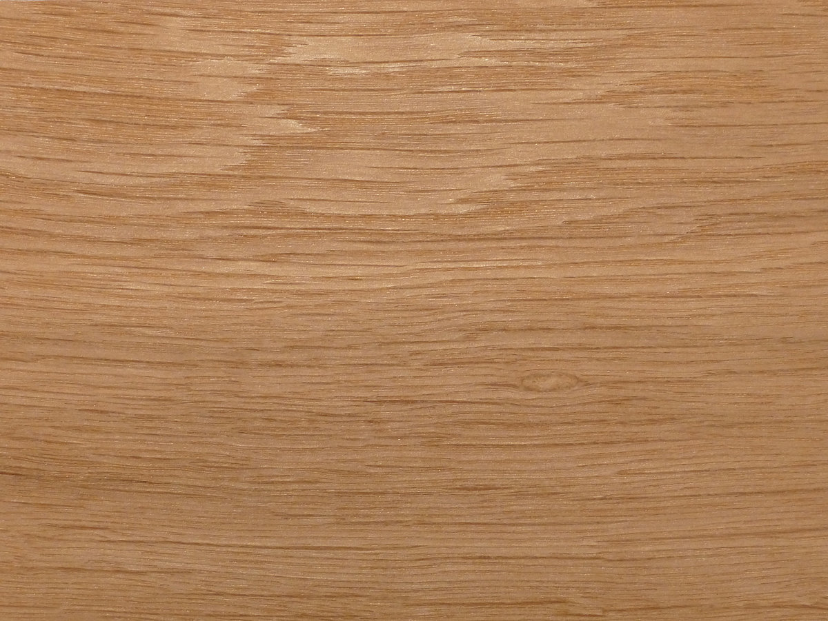 Naturhölzer - Laubholz: Detmolder Schule für Gestaltung - TH OWL