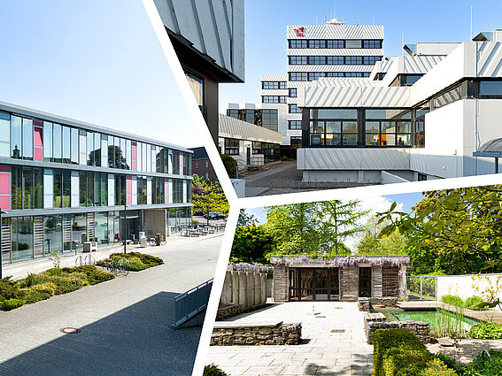 OWL University of Applied Sciences and Arts: TH OWL