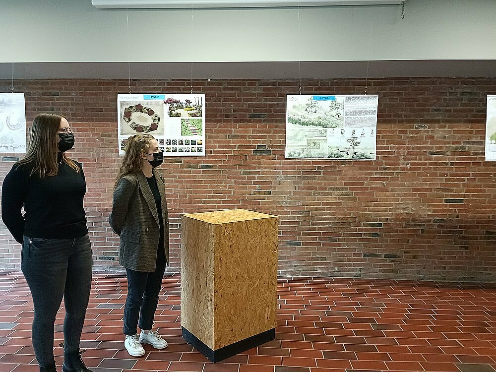 Wild gardens on the rampart: TH OWL