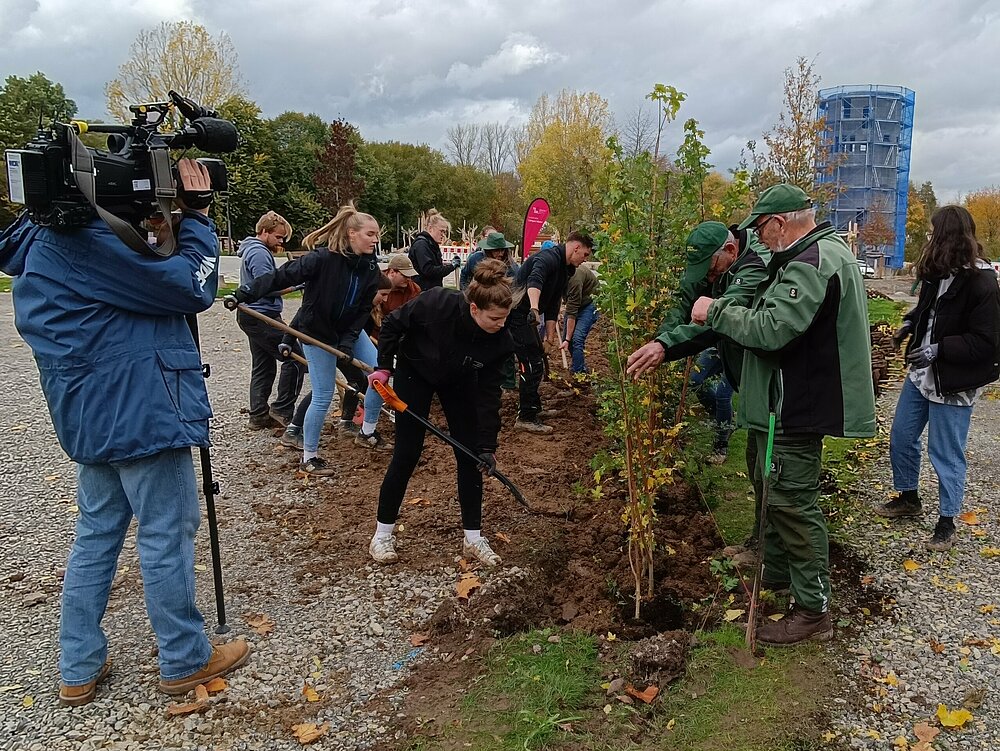 Studierende der TH OWL pflanzen Nieheimer Flechthecke für die ...